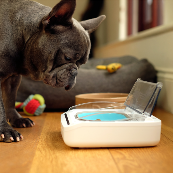 Pet Heaven | Buy Sure Pet Care Online | SureFeed Microchip Feeder Pet ...