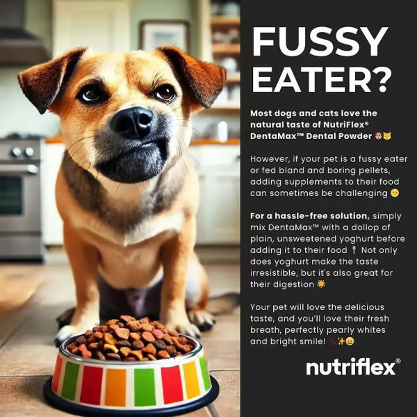 Pet Heaven | Buy NutriFlex Online | NutriFlex DentaMax Dental Powder ...