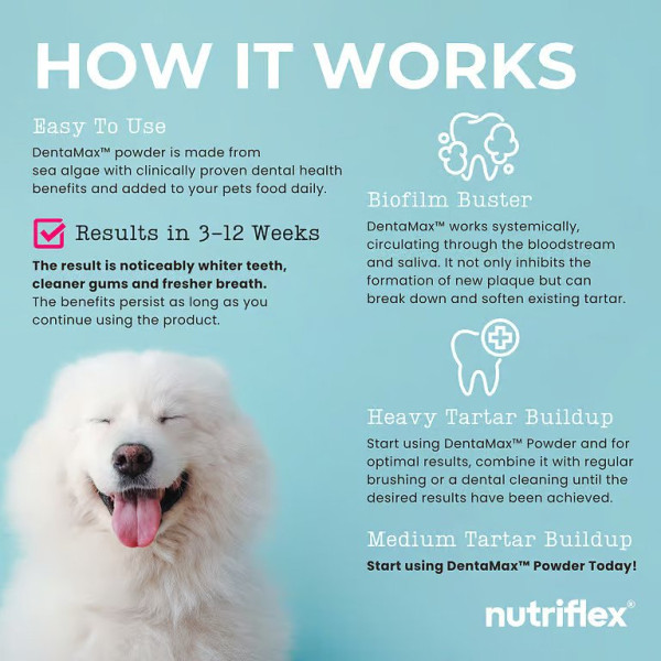 Pet Heaven | Buy NutriFlex Online | NutriFlex DentaMax Dental Powder ...